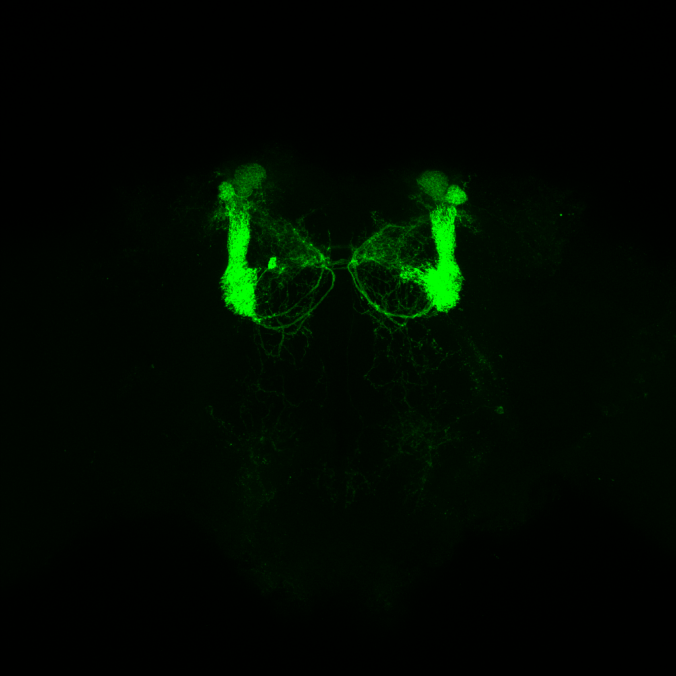 Berry Lab – Department of Biological Sciences, The University of Alberta