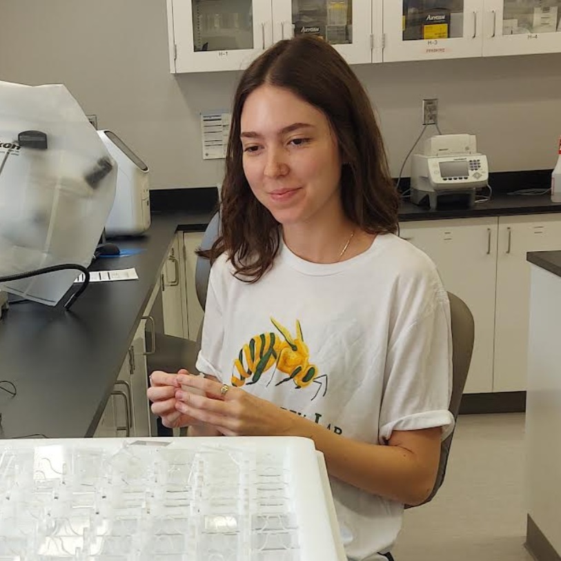 Team – Rueppell Lab