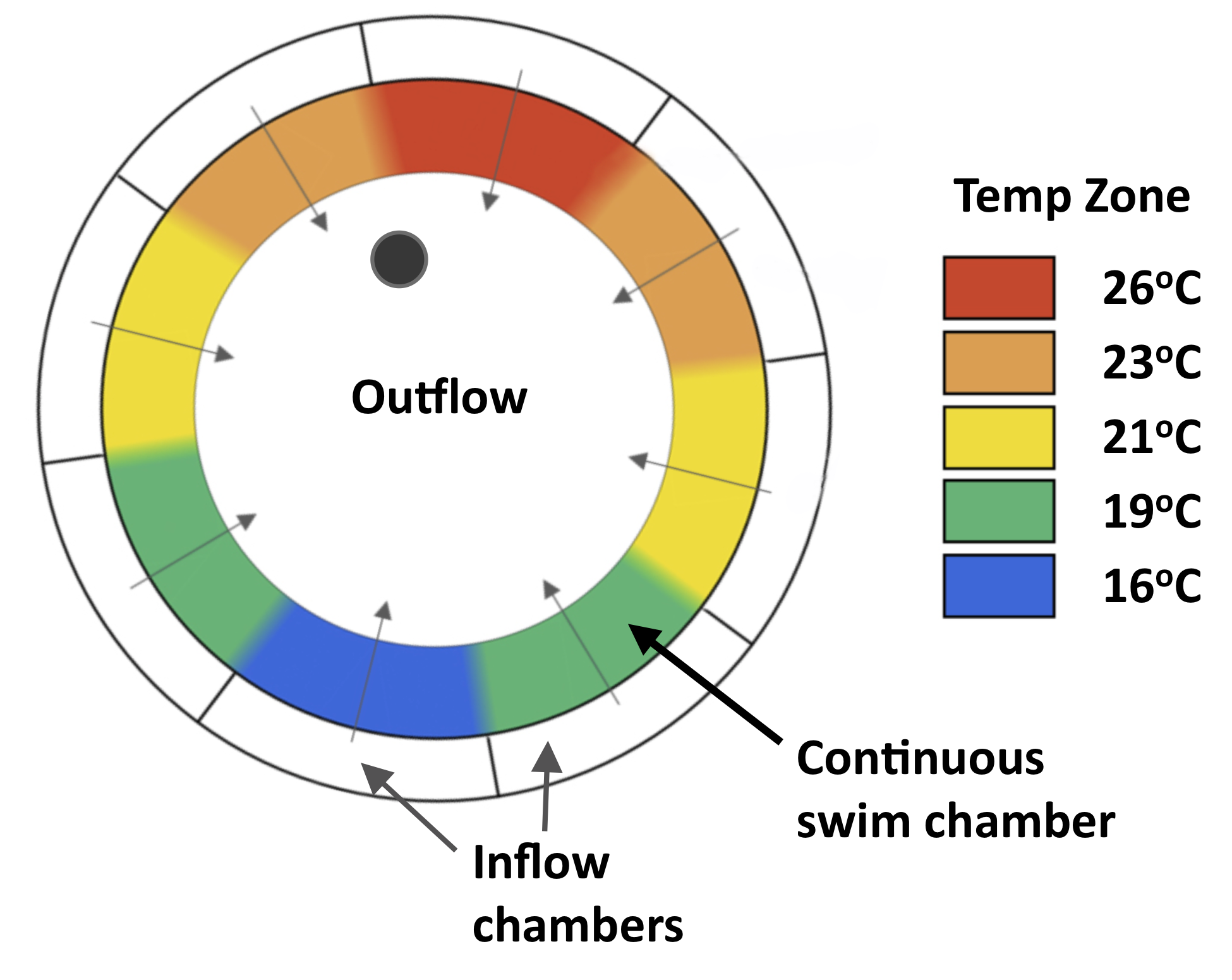 FISH FEVER – Barreda Lab